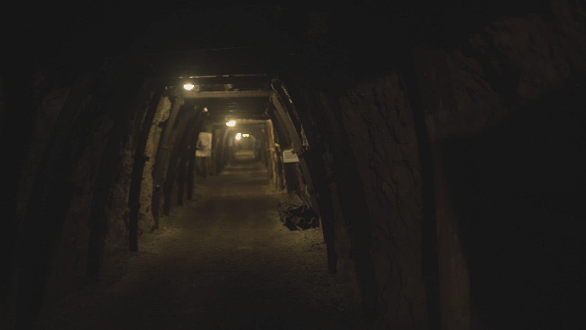 Video of Giovanni Guidelli - Filmmakers