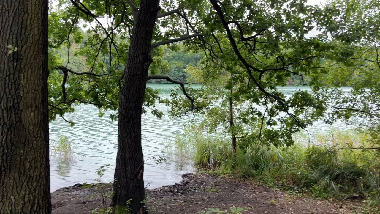 Video of Marie Louise Albertine Becker - Filmmakers