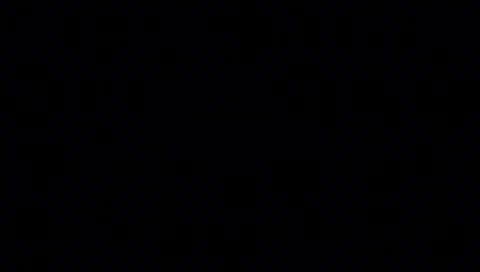 Video of Stasa Nikolic - Filmmakers